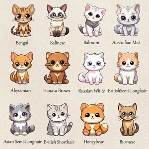 100 Cute Cats Clipart Bundle Kitten Png Bundle Kitten Clipart Bundle ...