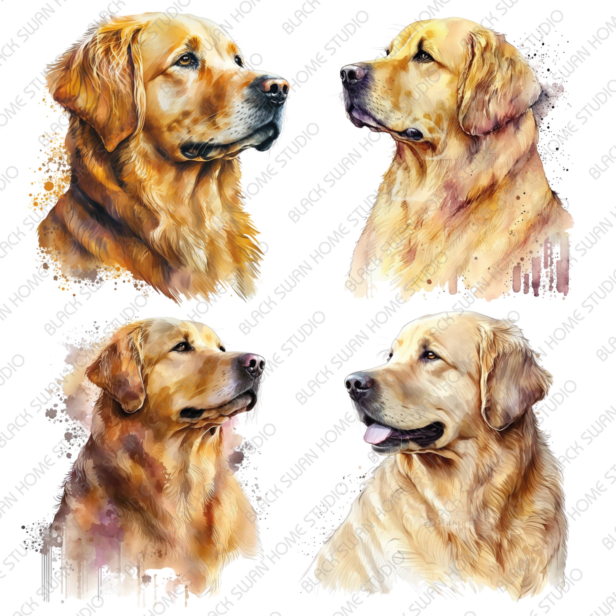 Golden Retriever Clipart Bundle Golden Retrievers Png Files - Etsy