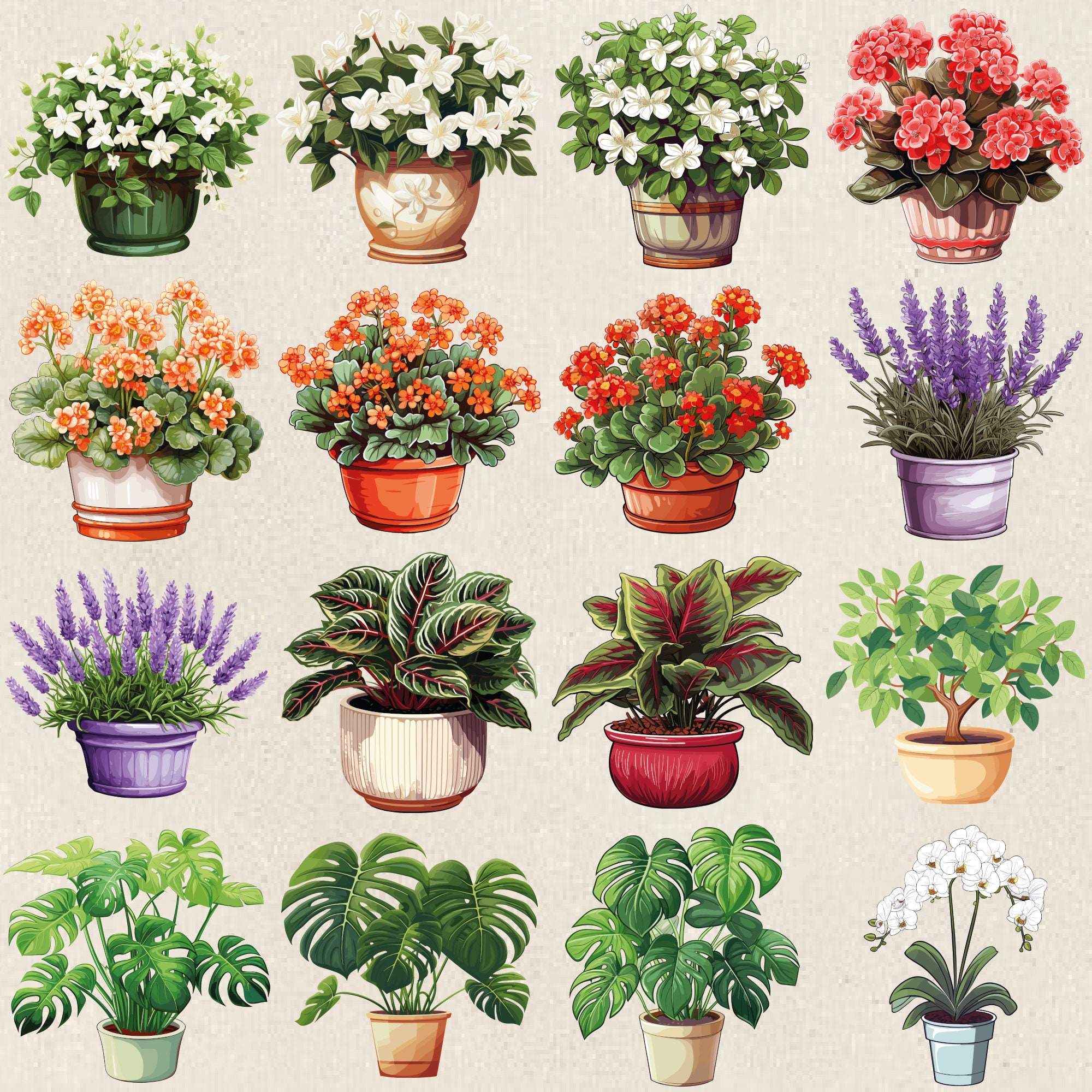 100+ Home Plants Clipart Bundle House Plants Png Set Indoor Plants ...