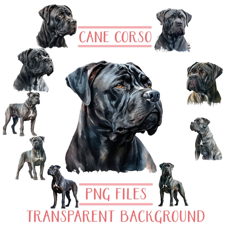 Cane Corso Png - Etsy