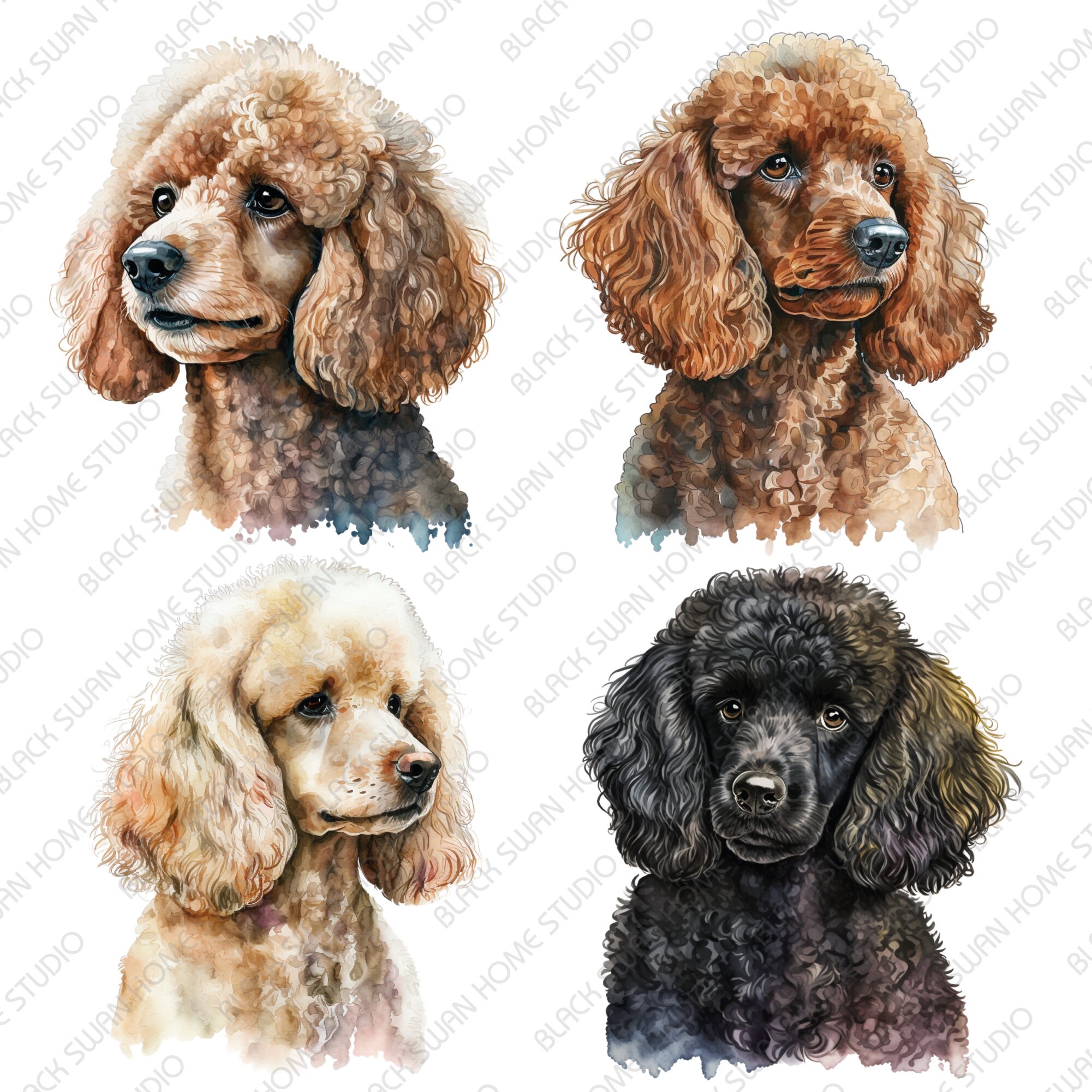 Poodle Clip Art Files Poodle Cutfile Bundle Poodle Lovers - Etsy UK
