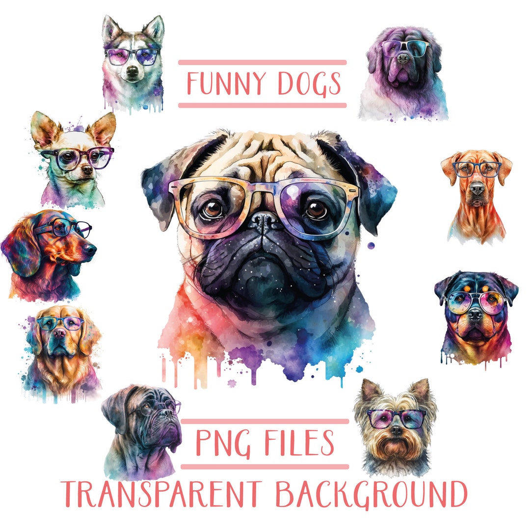 Funny Dogs Sublimation Png Bundle, Dogs With Glasses Png Files, Cool ...