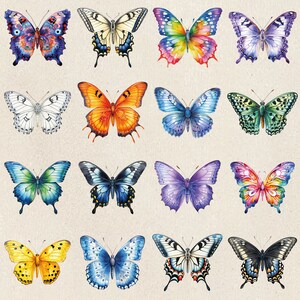 Watercolor Butterflies Clipart Bundle, Colorful Butterfly Png Bundle ...