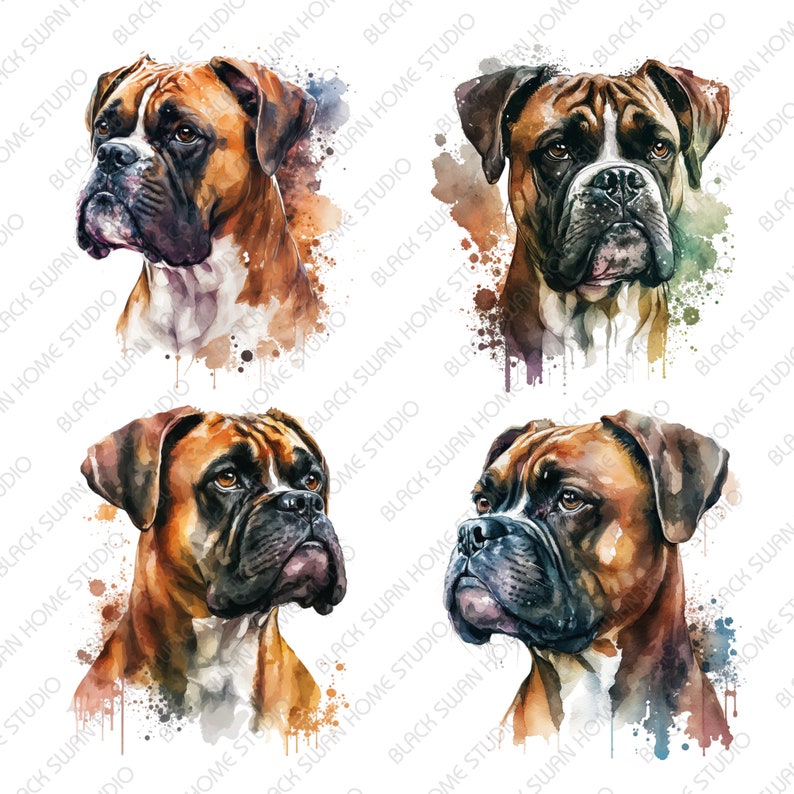 Boxer Clip Art Png File Boxer Dog Png Bundle Dog Clip Art - Etsy