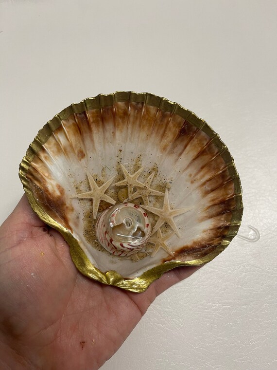 Scallop Pearl