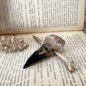 3D Printed Crow Skull Hair Pin, Witchy Gothic Cosplay Accessory - Etsy