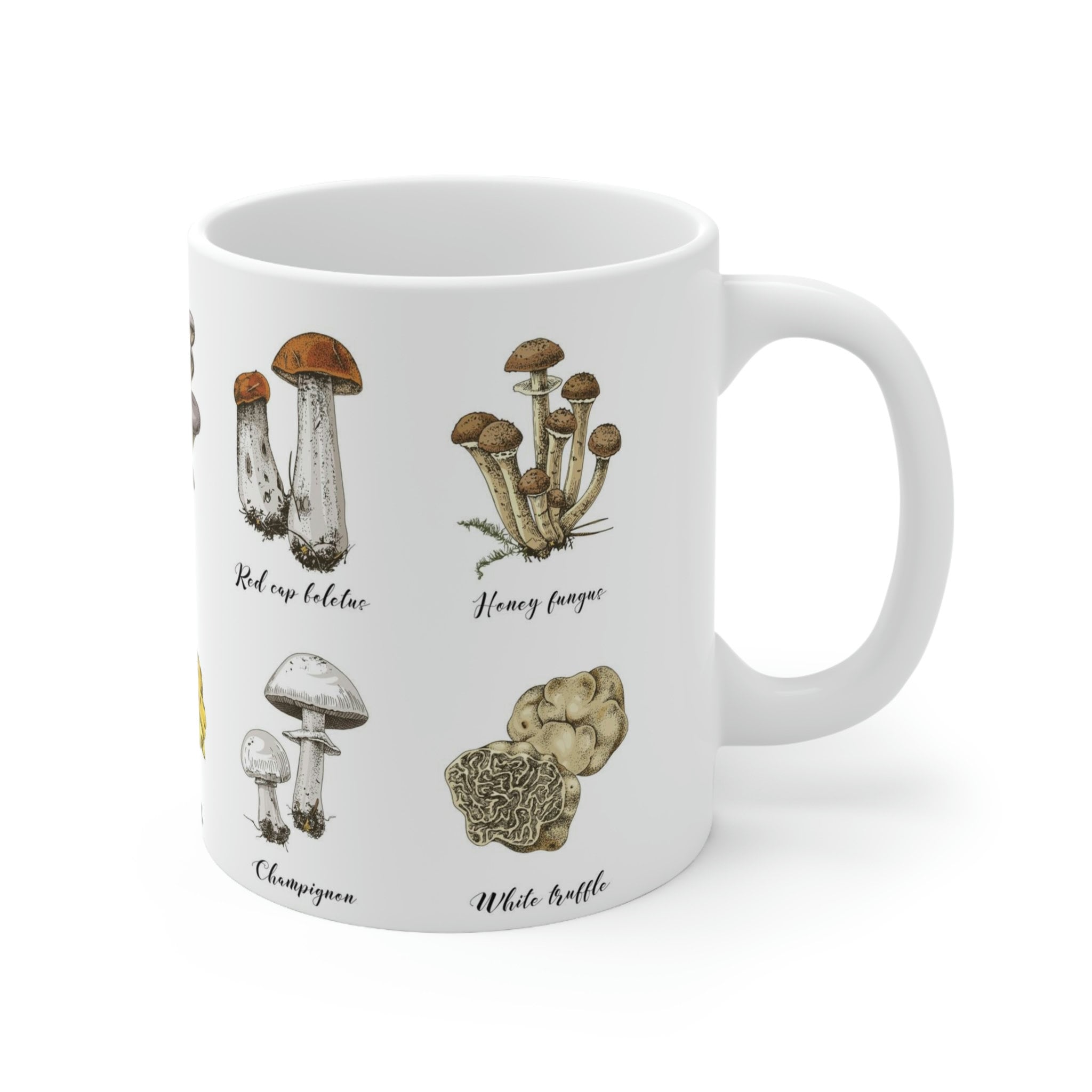 Mushroom Mug Labeled Mushroom Ceramic Mug 11oz Fungi Illustrations ...