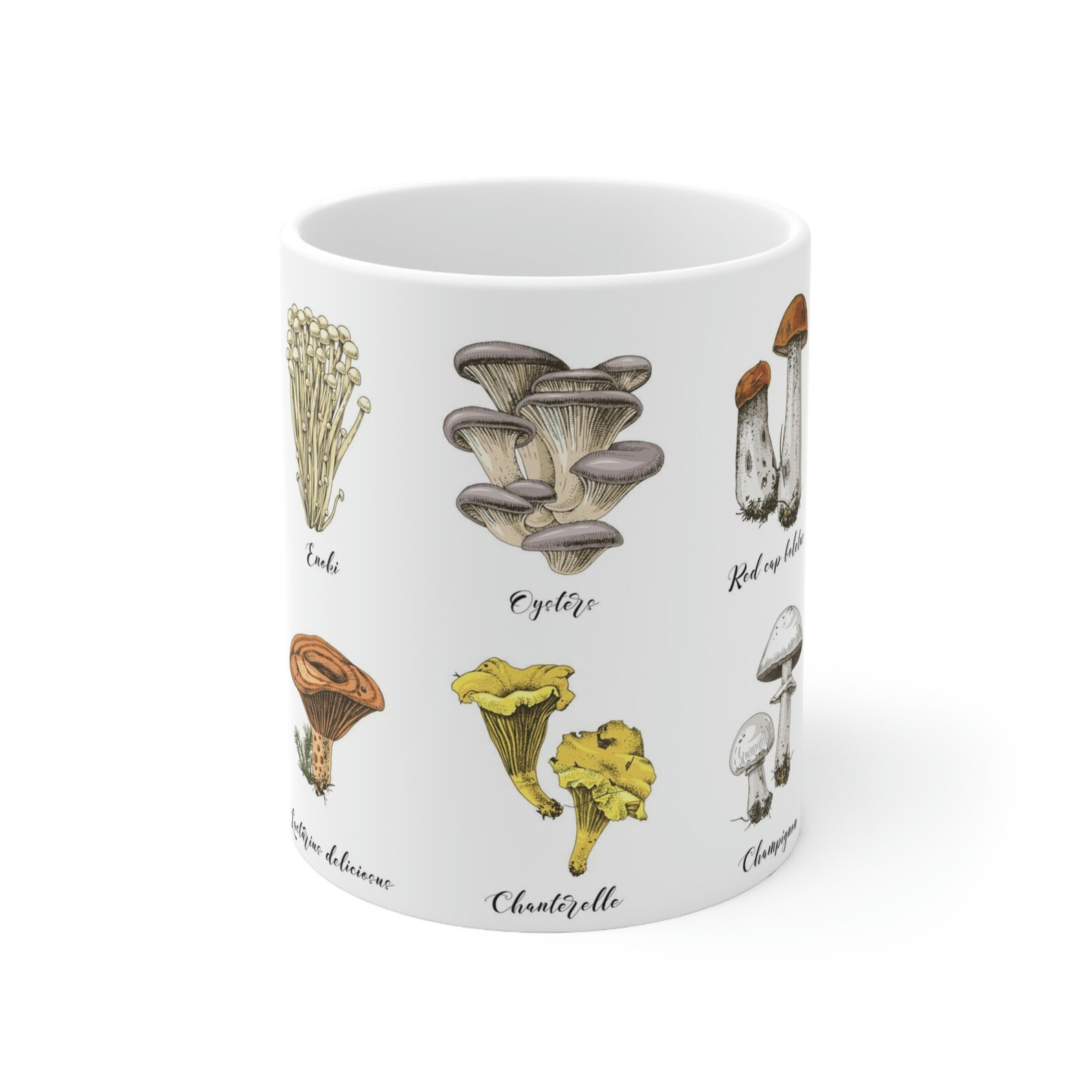 Mushroom Mug Labeled Mushroom Ceramic Mug 11oz Fungi Illustrations ...