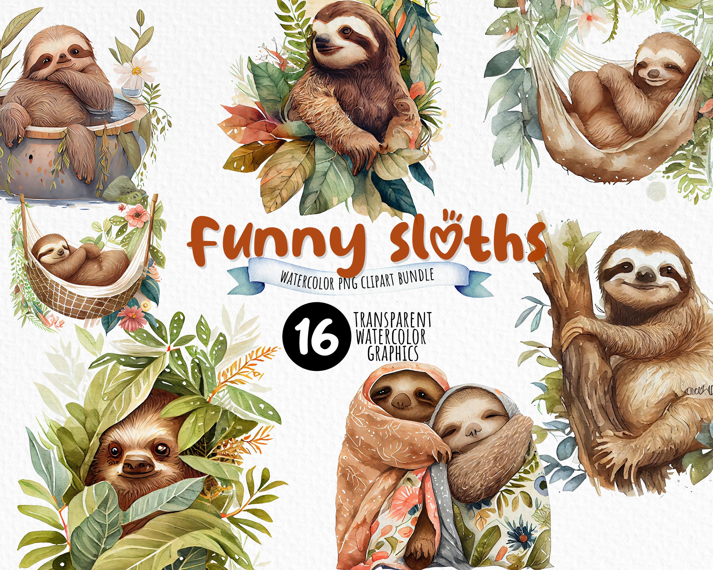 Funny Sloths