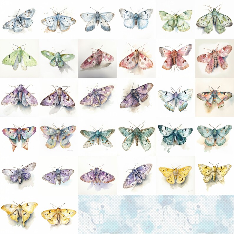 32 Pastel Moth Watercolor Clipart Images With Commercial - Etsy