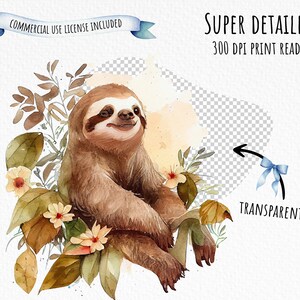 Adorable Watercolor Sloth Clipart Bundle for Crafts and Designs Vol 3 ...