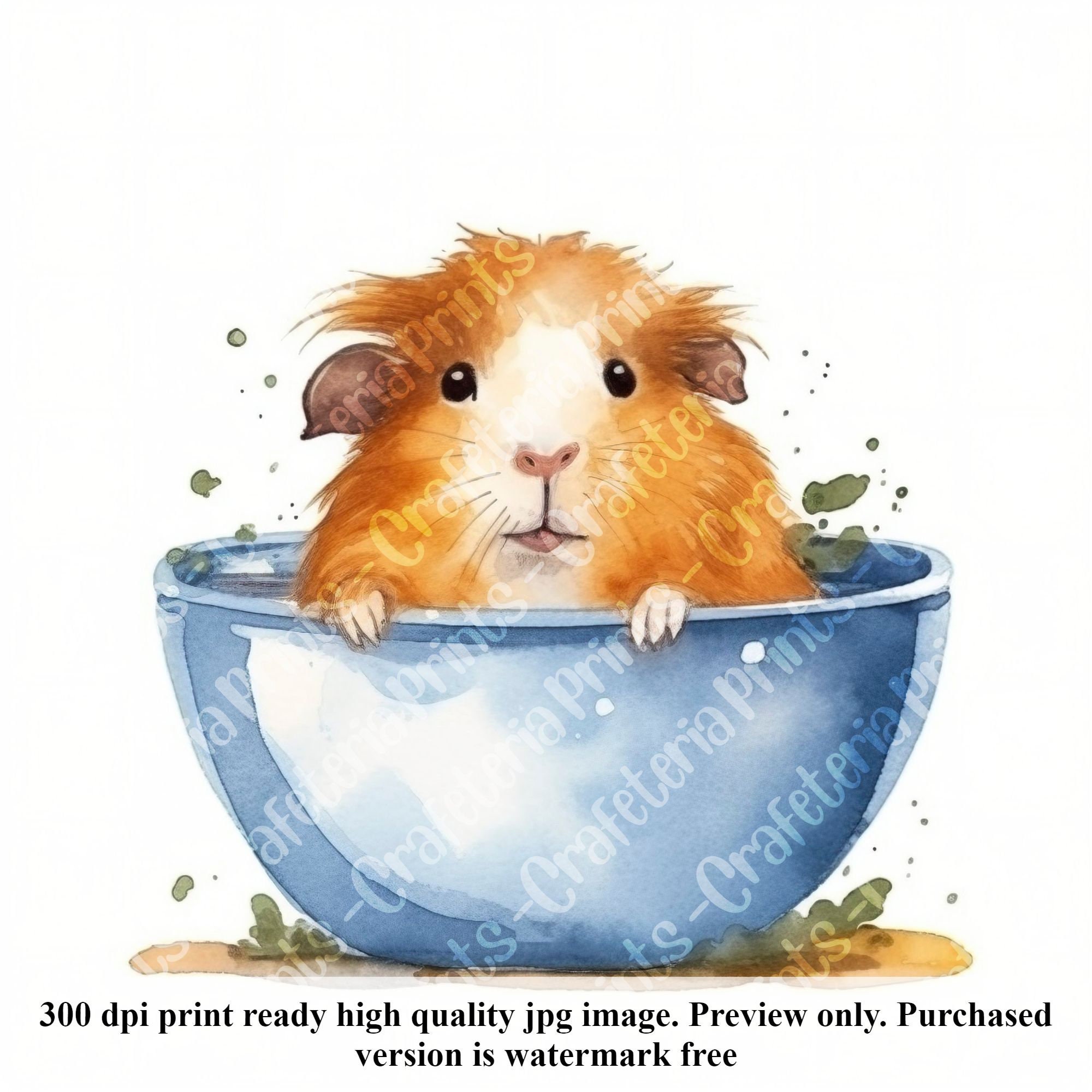 32 Cute Guinea Pig Watercolor Illustrations With Commercial - Etsy