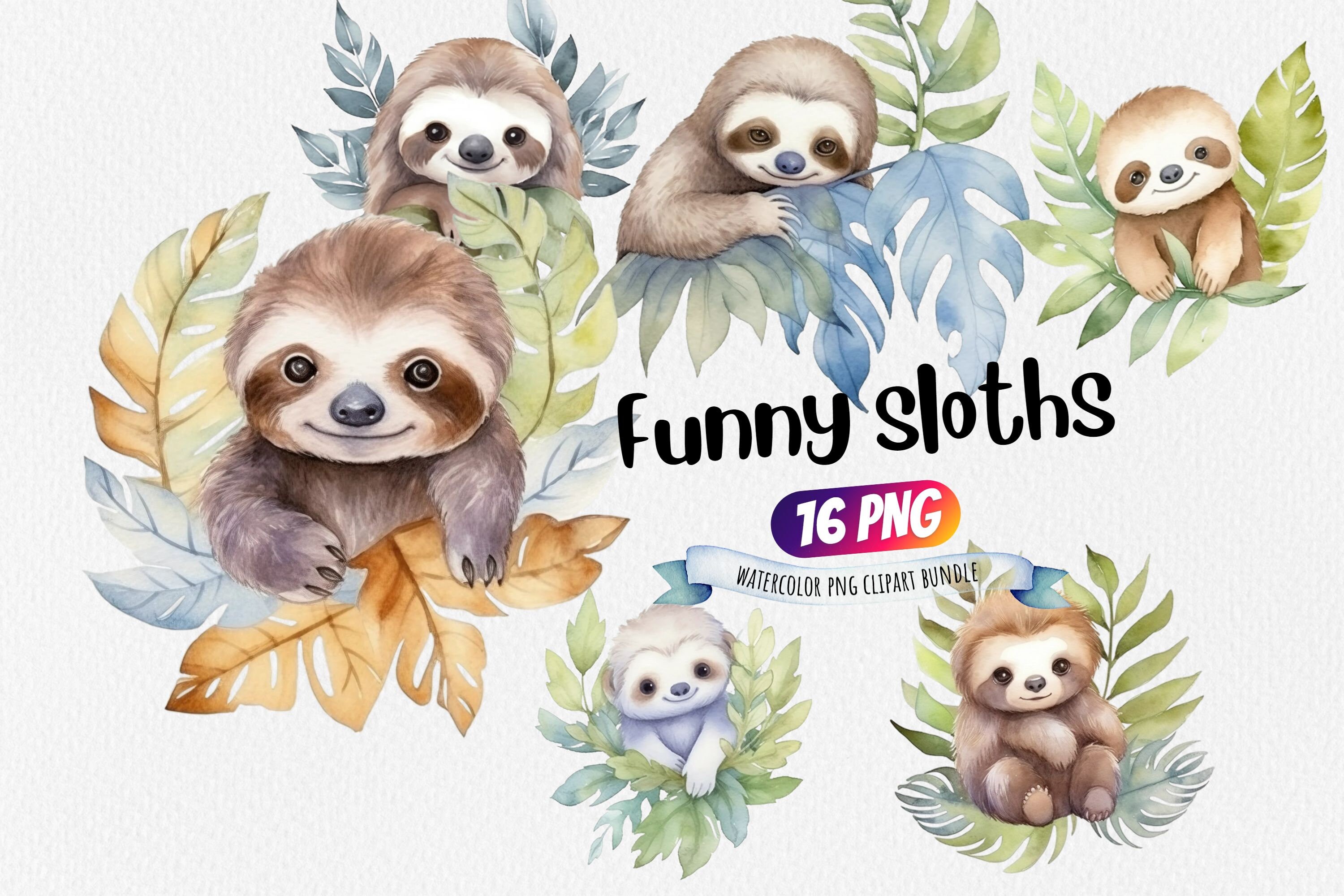 Funny Sloth Pictures Clean