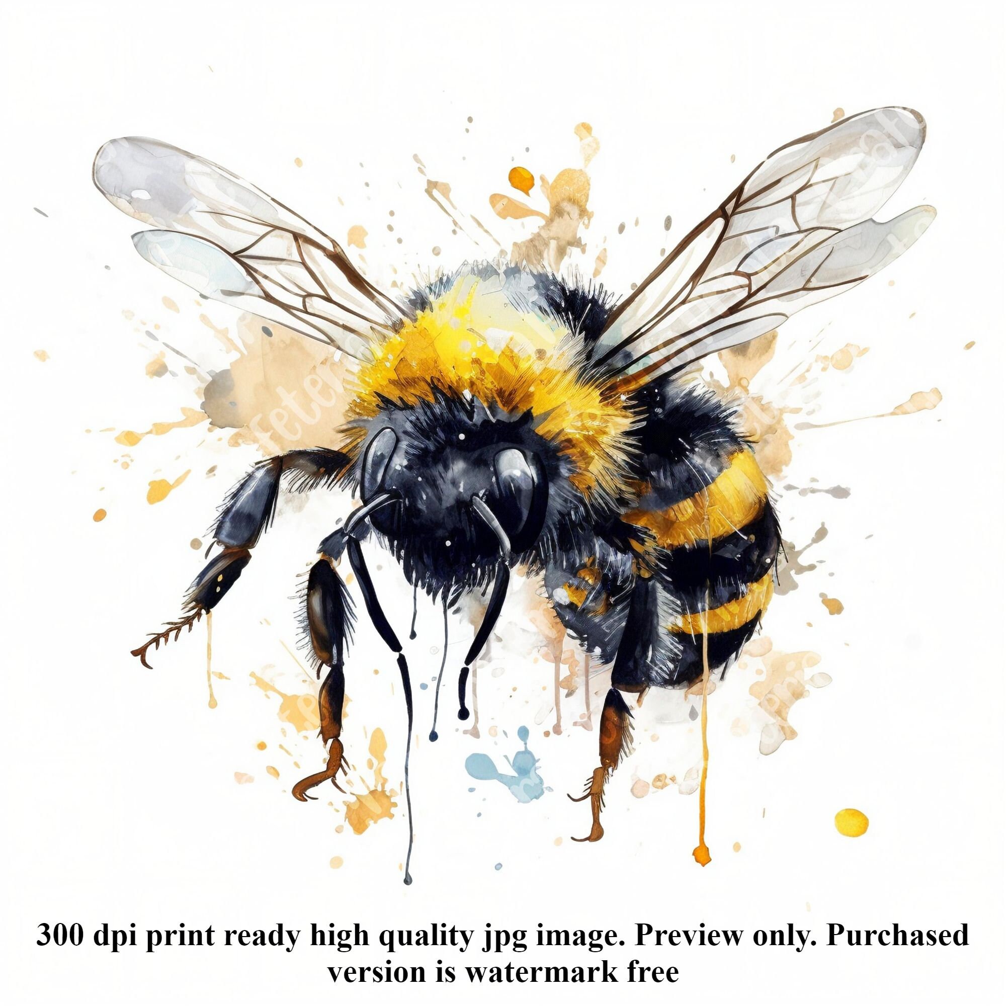 Watercolor Bumblebee Clipart Set With 20 High-quality JPG - Etsy