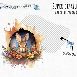 Rabbit Hole Clipart - 20 High Quality PNG - Digital Download Card ...