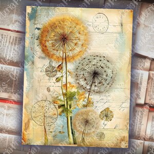 Digital Vintage Dandelions Lined Papers | Scrapbooking, Invitations & Designs | Printable ...