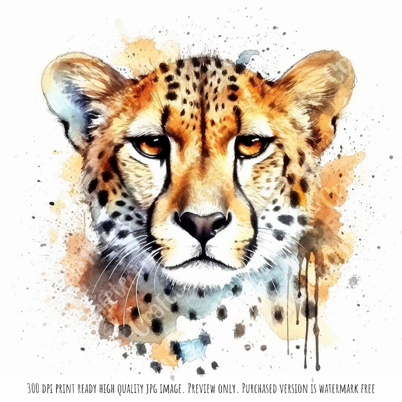 Watercolor African Animals Clipart Set With Commercial License - Etsy