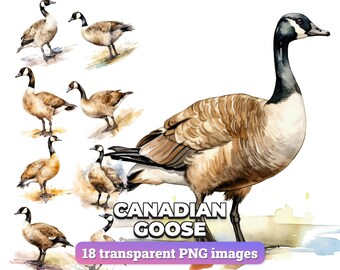 Goose SVG Cut File, Flying Geese SVG, Goose Silhouette, Canadian Goose ...