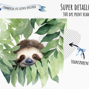 Adorable Watercolor Sloth Clipart Bundle for Crafts and Designs Vol 3 ...
