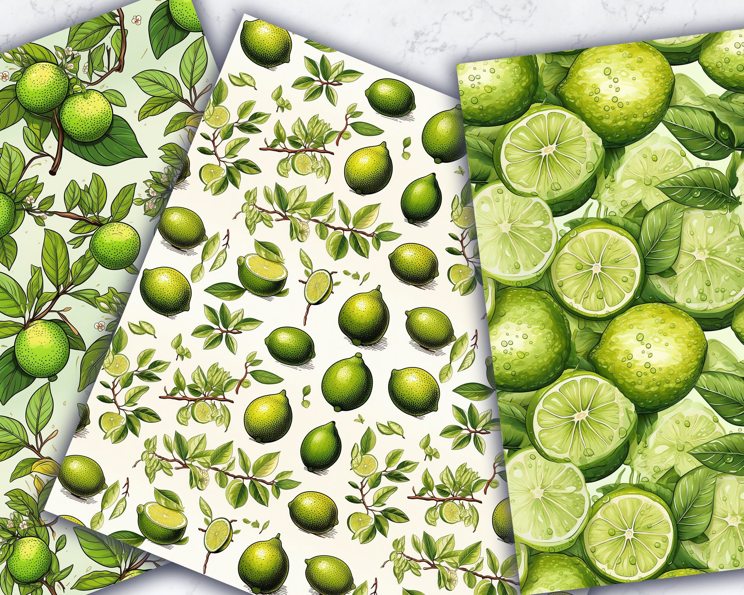 Digital Lime Clipart Doodle Style Watercolor Illustration - Etsy