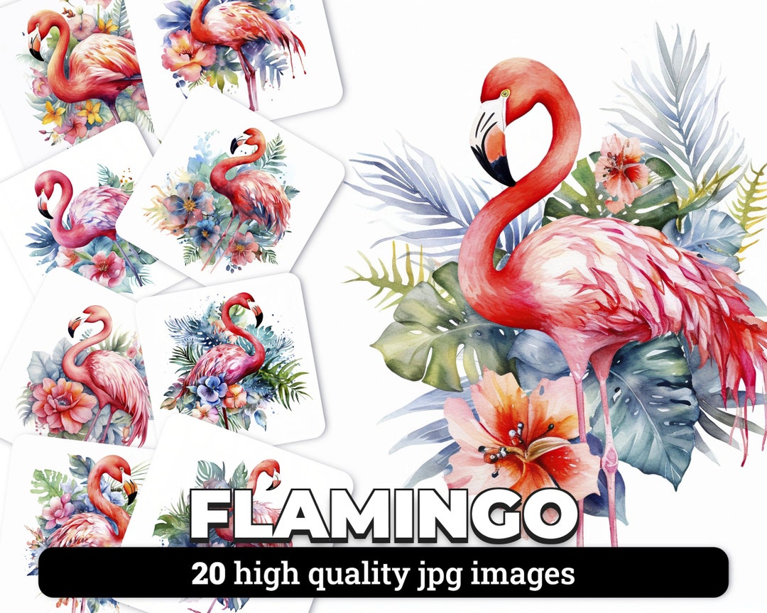 Flamingo Watercolor Clipart: 20 Commercial JPG Illustrations of Pink ...