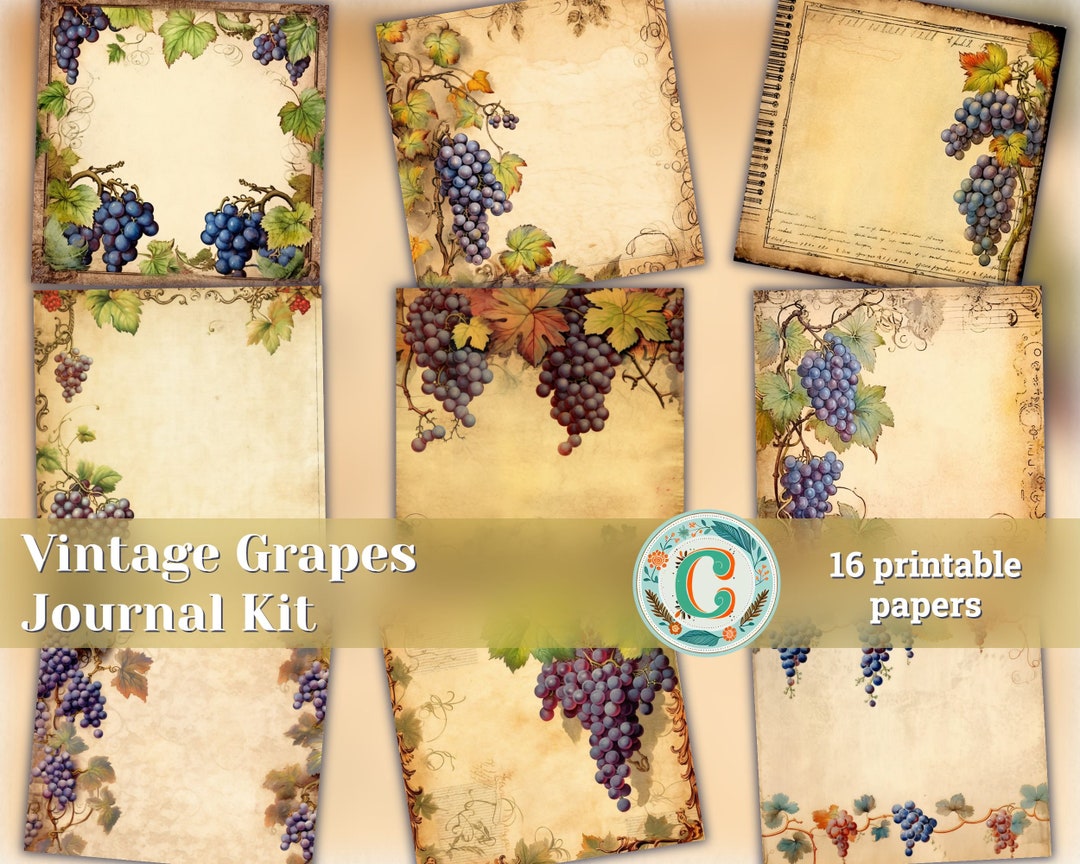 Vintage Grapes Scrapbooking Papers With Watercolor Border - High Detail ...
