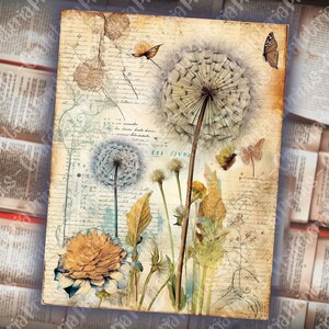 Digital Vintage Dandelions Lined Papers | Scrapbooking, Invitations ...