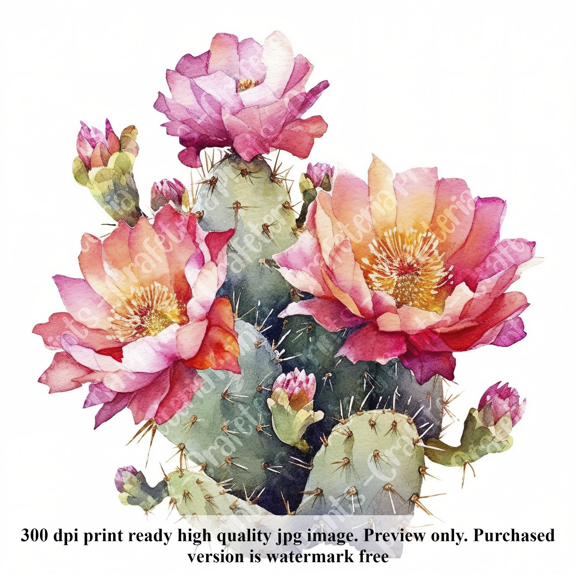 Watercolor Flowering Cactus Clipart Set Commercial Use 22 - Etsy