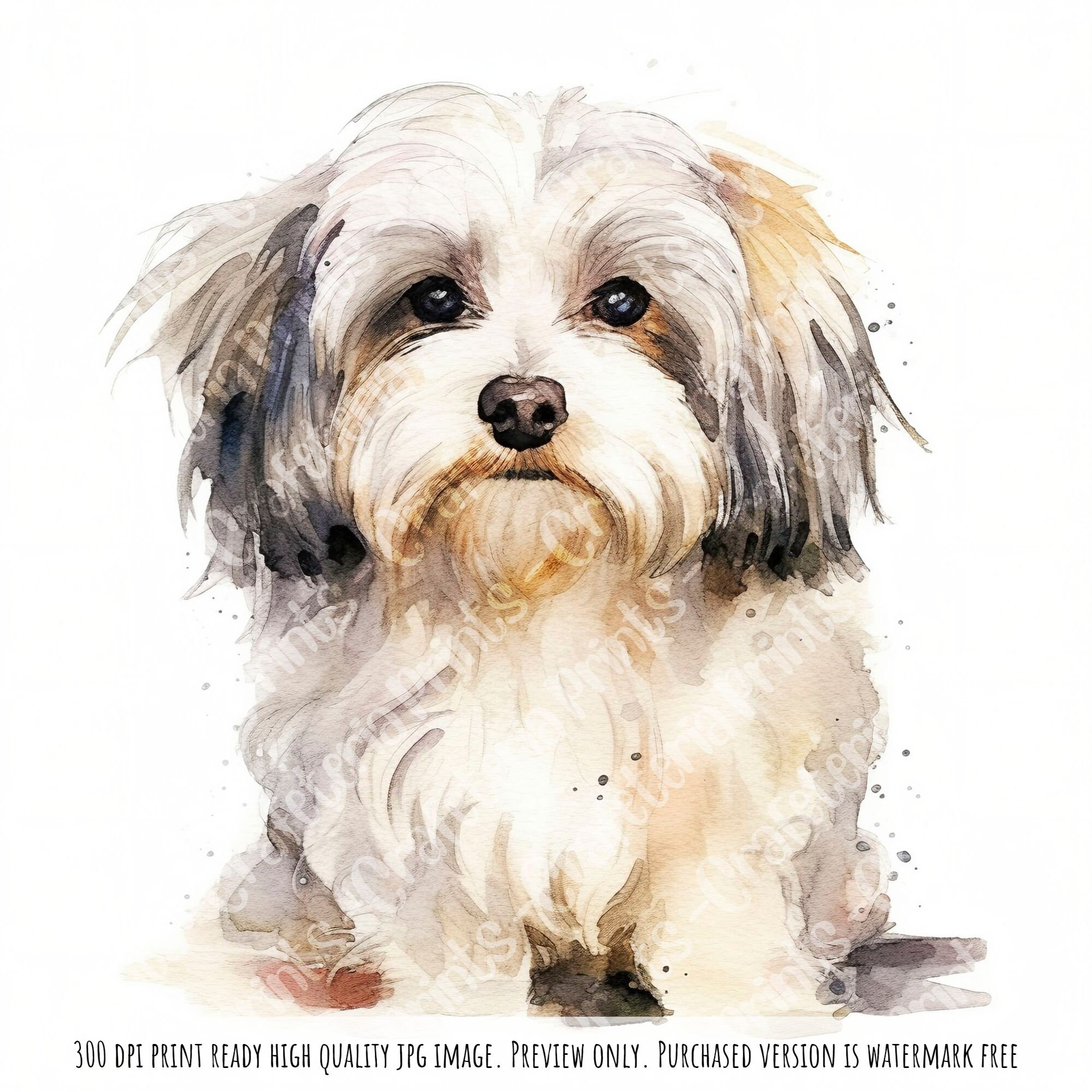 Watercolor Havanese Dog Clipart for Scrapbooking & Invitations - Etsy