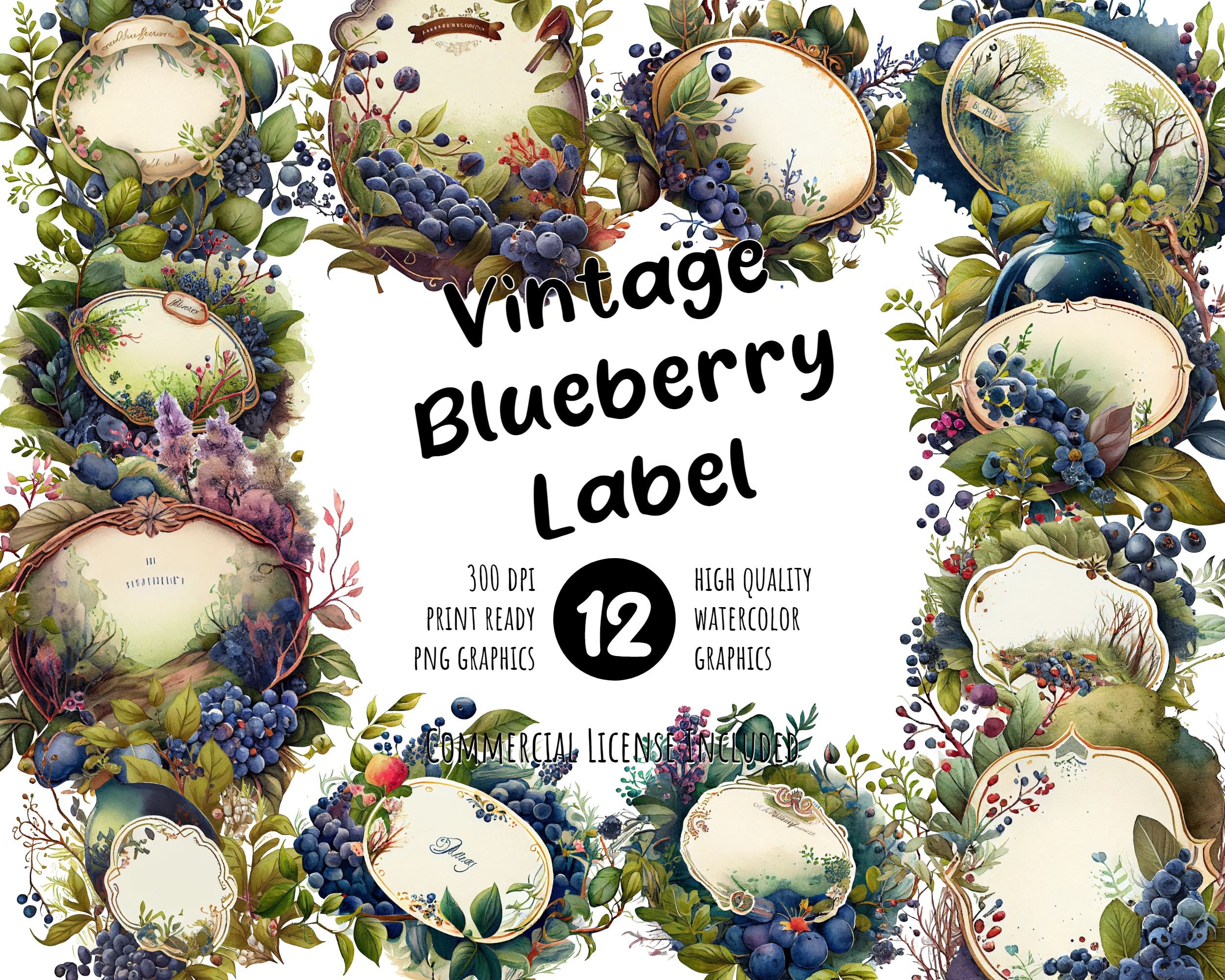 Vintage Blueberry Label Watercolor Clipart Set Rustic Fruit - Etsy