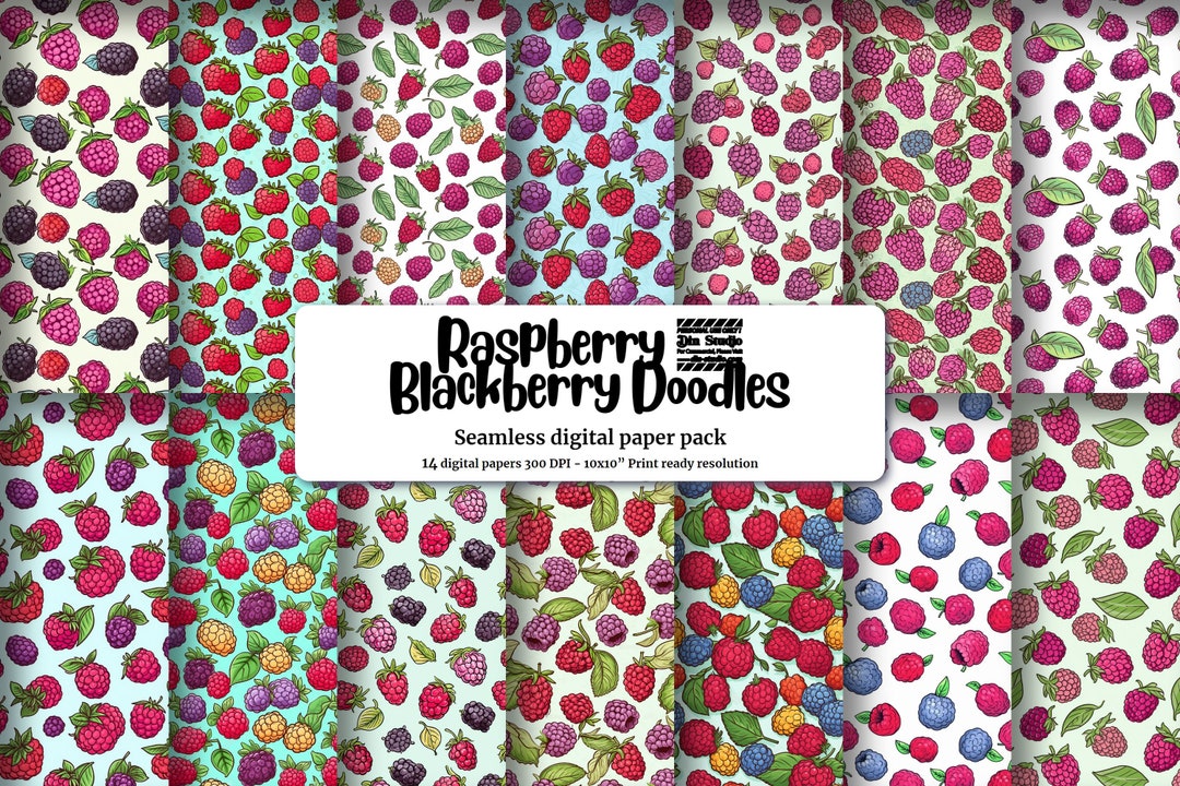 Cute Raspberry & Blackberry Clipart, Doodle Style Watercolor ...