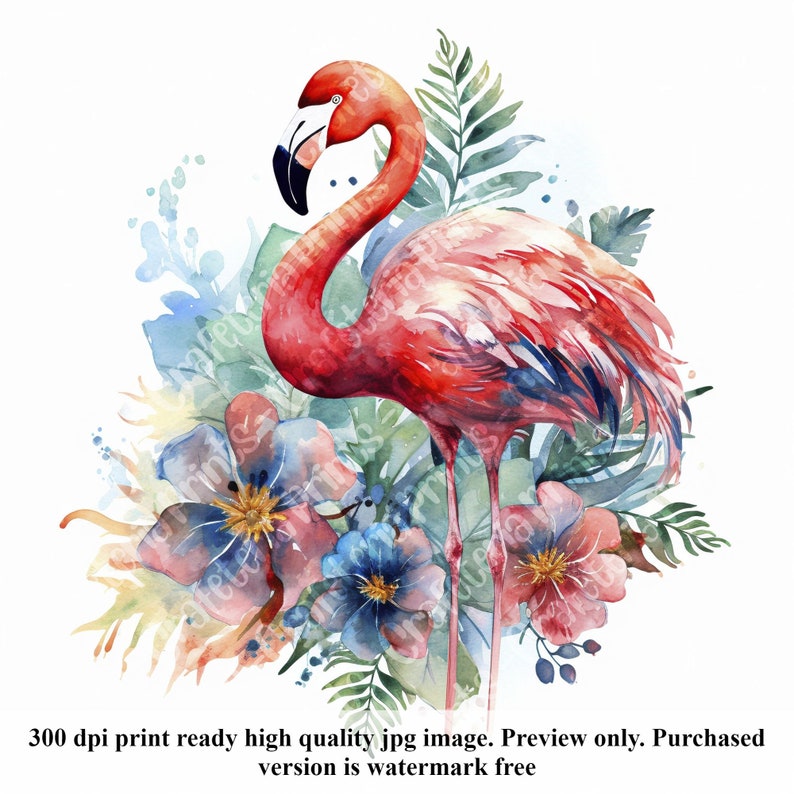 Flamingo Watercolor Clipart: 20 Commercial Use PNG - Etsy