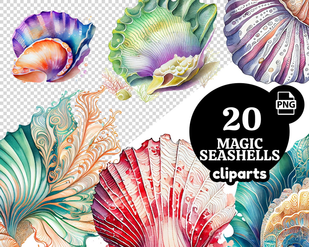 Stunning Watercolor Seashell Clipart Set Digital Download for - Etsy