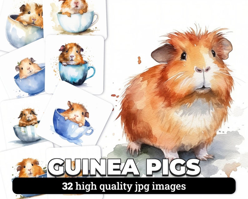32 Cute Guinea Pig Watercolor Illustrations With Commercial - Etsy