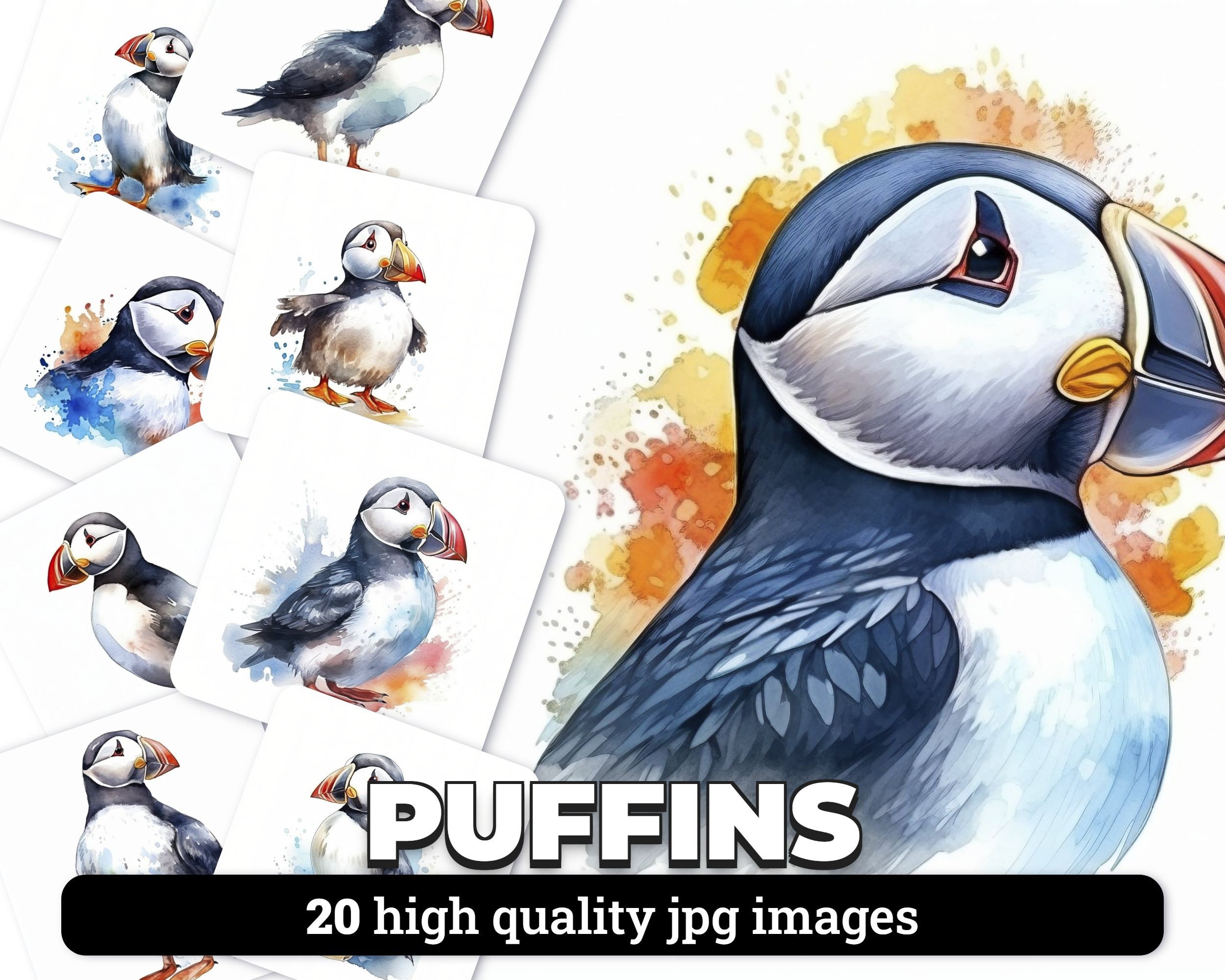 Commercial Use Watercolor Puffin Clipart 20 JPG Images of - Etsy
