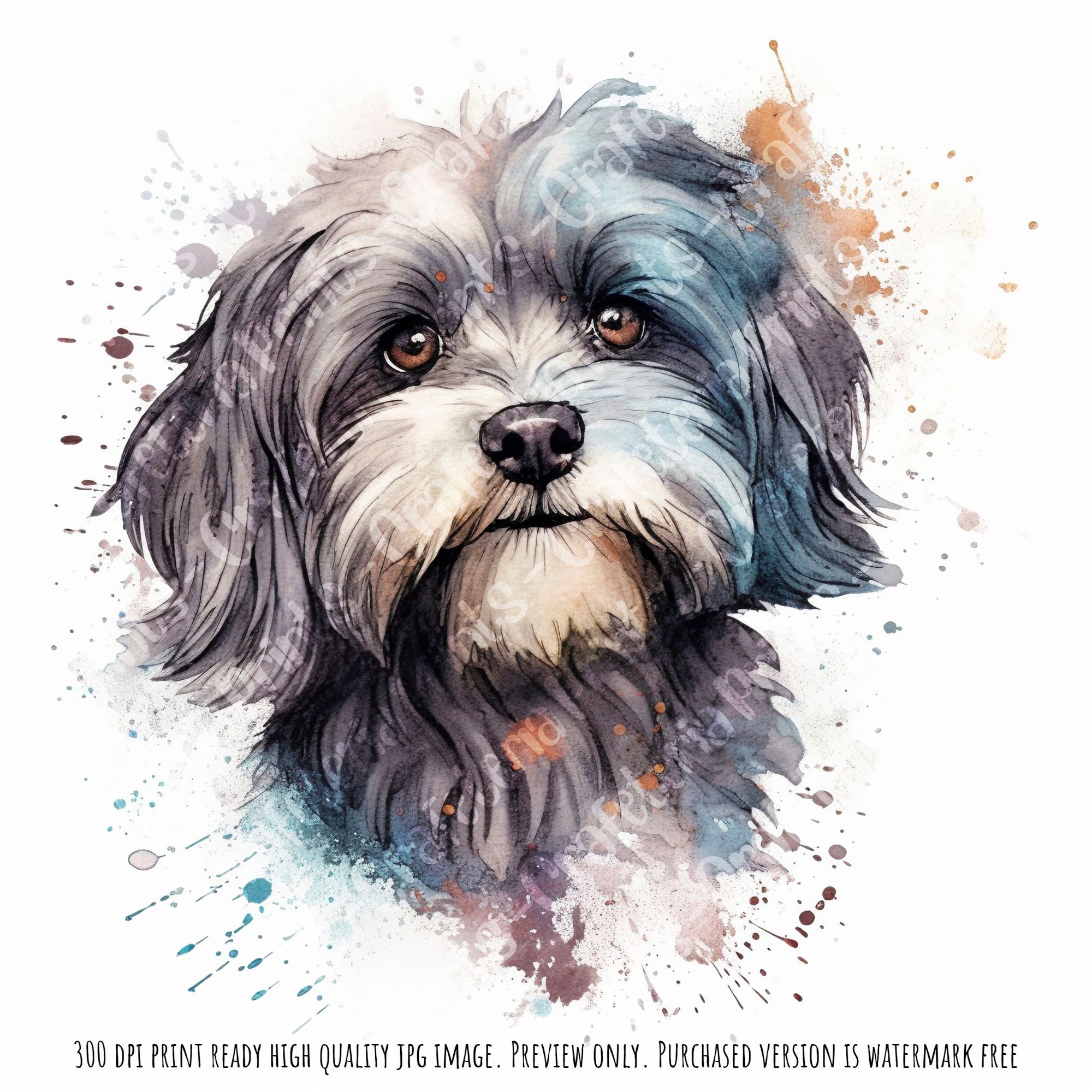 Watercolor Havanese Dog Clipart for Scrapbooking & Invitations - Etsy
