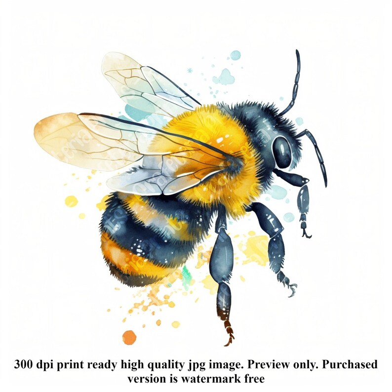 Watercolor Bumblebee Clipart Set With 20 High-quality JPG - Etsy