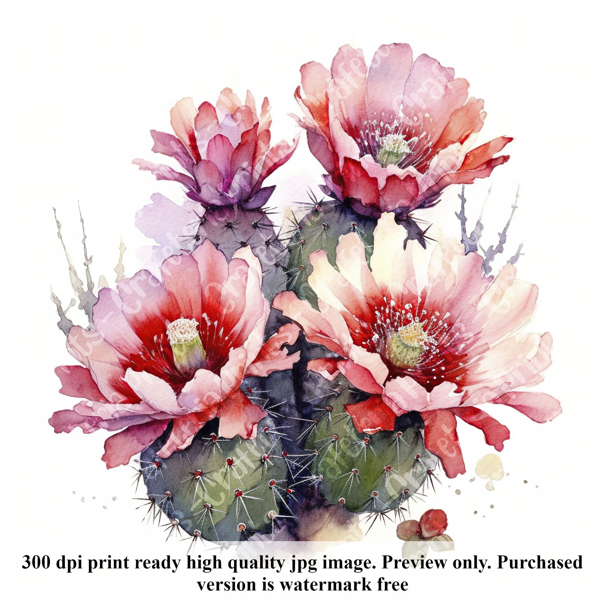 Watercolor Flowering Cactus Clipart Set Commercial Use 22 - Etsy