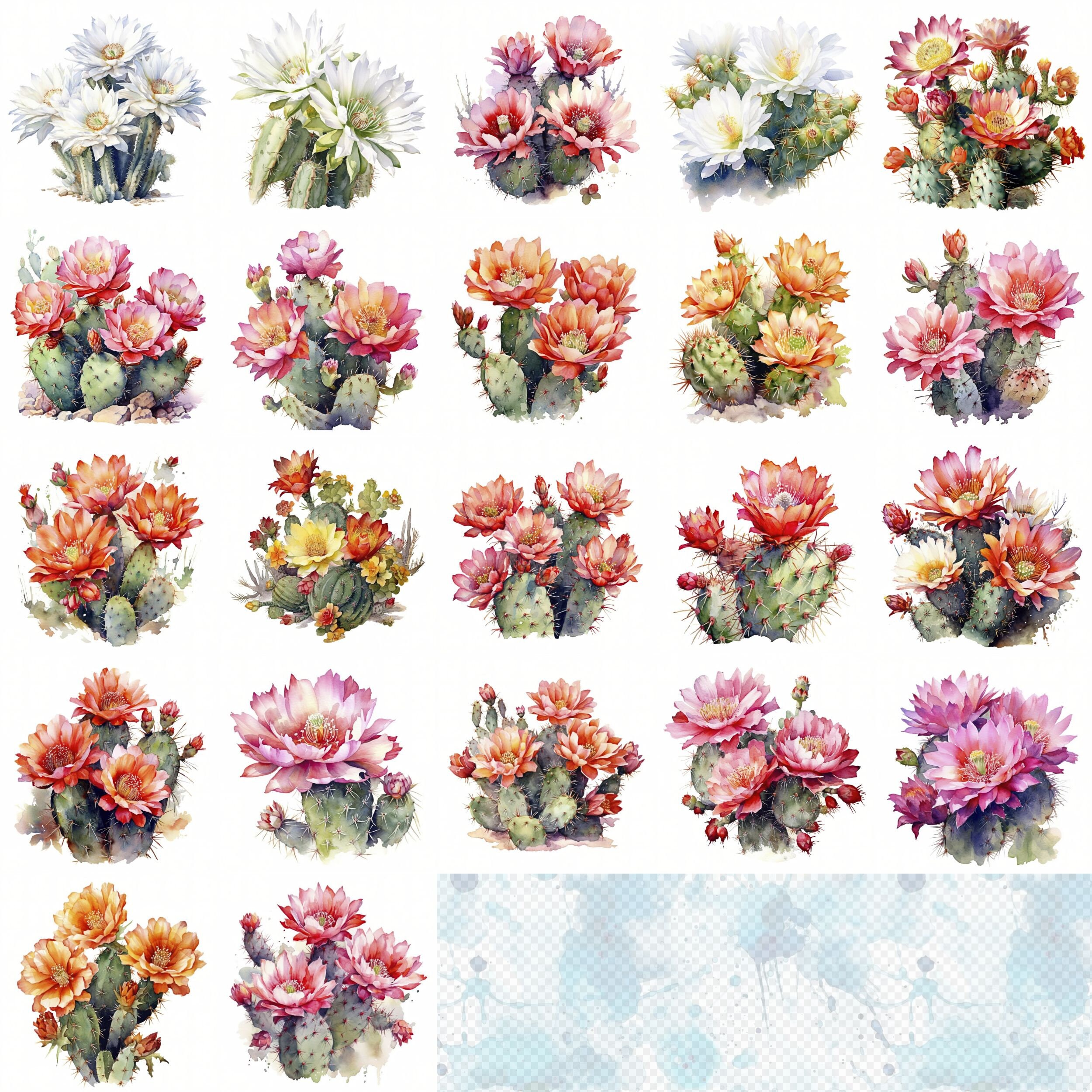 Watercolor Flowering Cactus Clipart Set Commercial Use 22 - Etsy