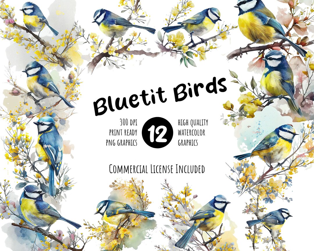 Charming Bluetit Bird Watercolor Clipart Set | Nature & Wildlife Art ...