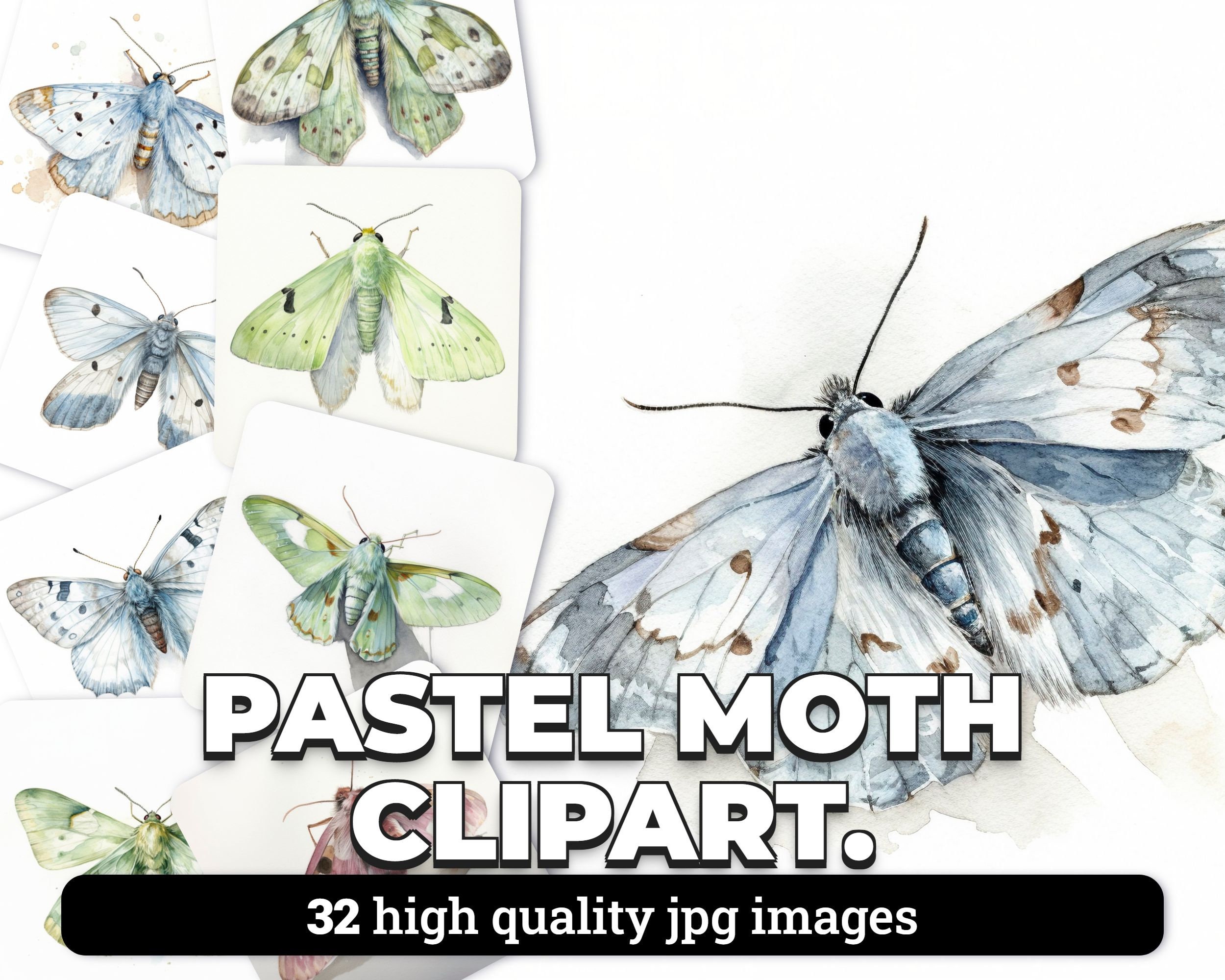 32 Pastel Moth Watercolor Clipart Images With Commercial - Etsy