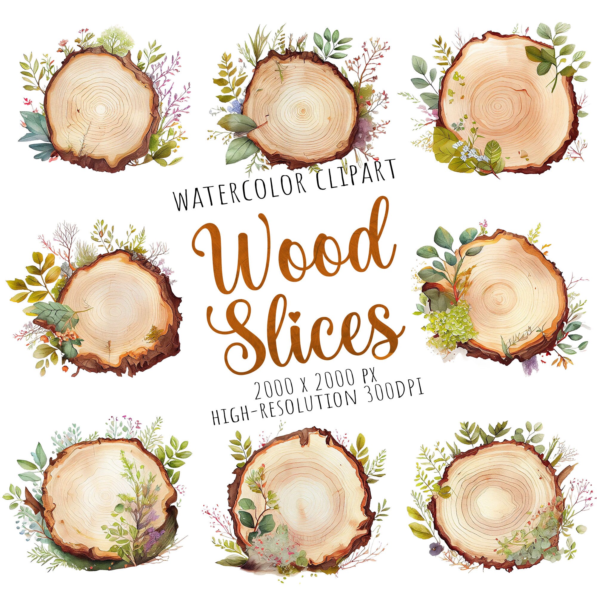 Wood Slice Design Rustic Wood Slice Clipart Watercolor Wood - Etsy