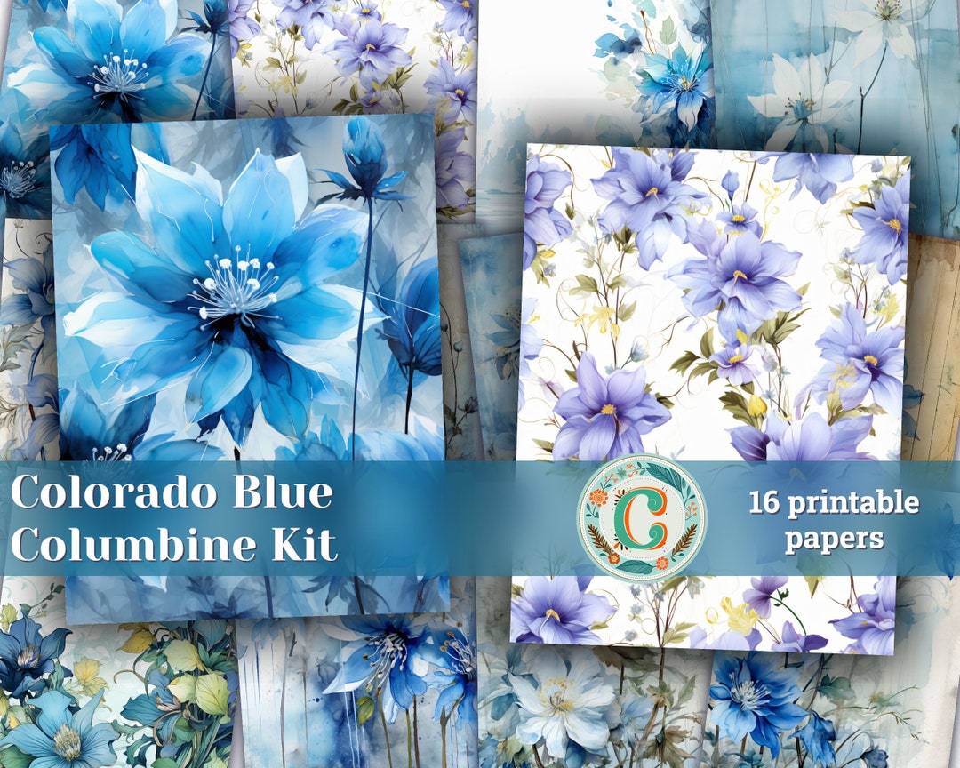Vintage Colorado Blue Columbine Scrapbook Papers Watercolor Border ...