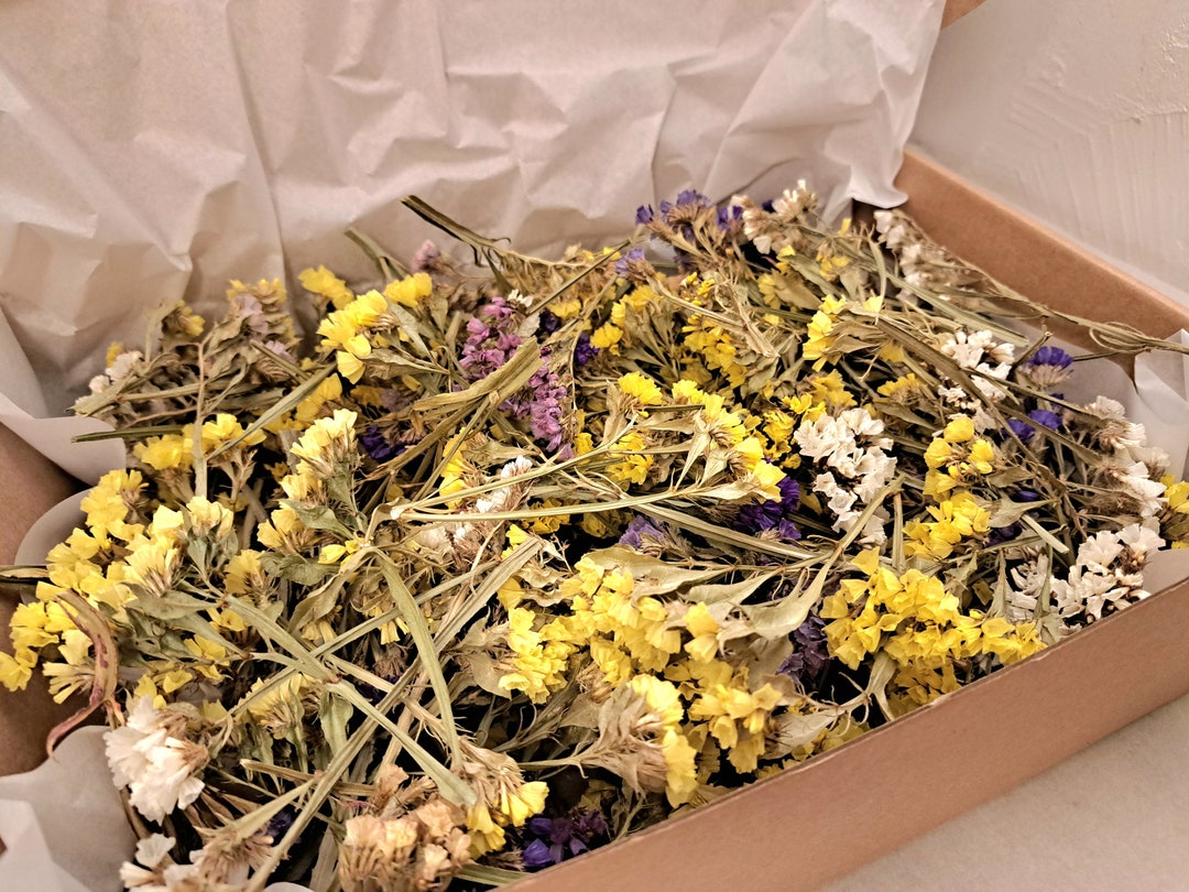 Box With 130pcs Dried Statice Head Craft Box, Dried Limonium Heads ...