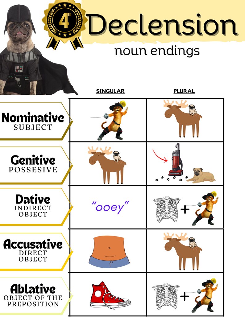 CC Cycle 1 5th Ed Latin Pug Latin 1-5 Declensions With Notes, Memory ...