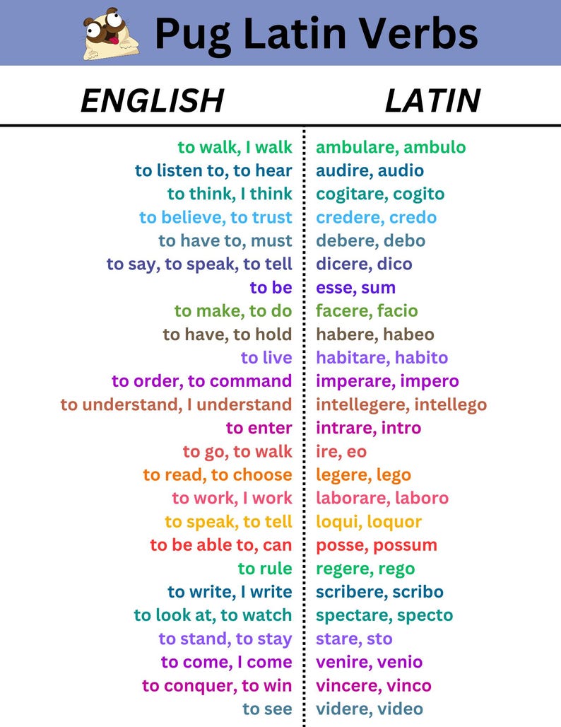 Latin Verbs pug Latin for All Ages - Etsy