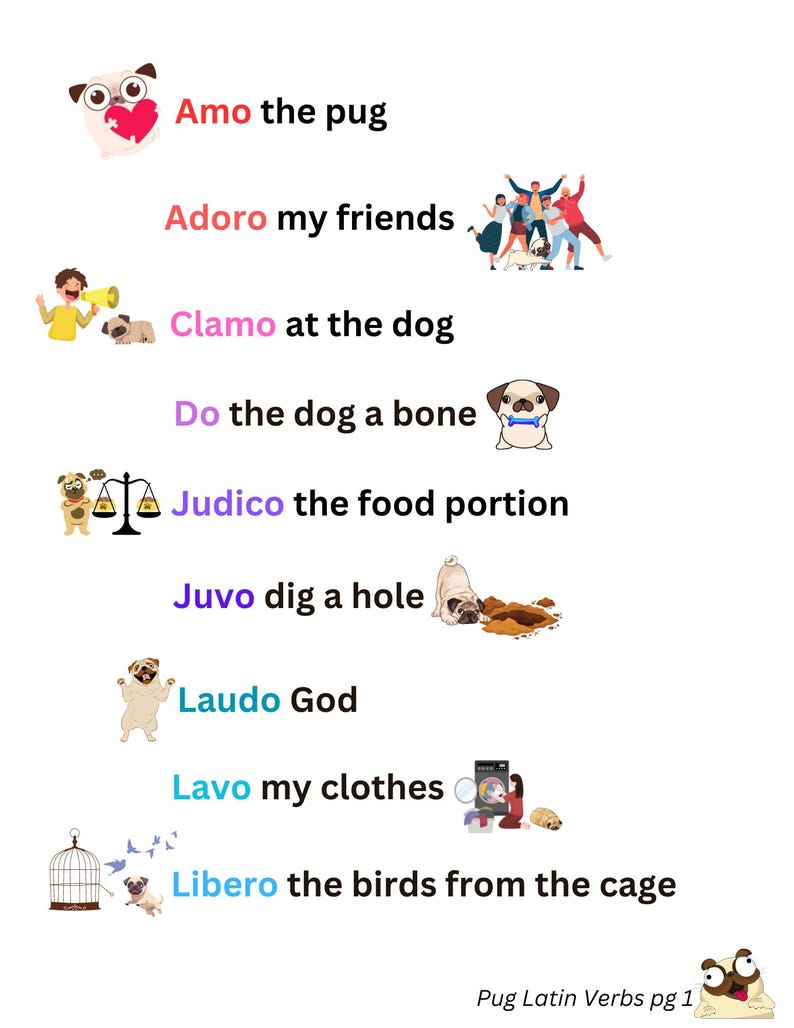 Latin Verbs pug Latin for All Ages - Etsy