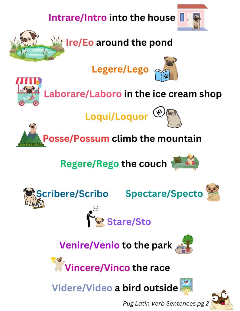 Latin Verbs pug Latin for All Ages - Etsy