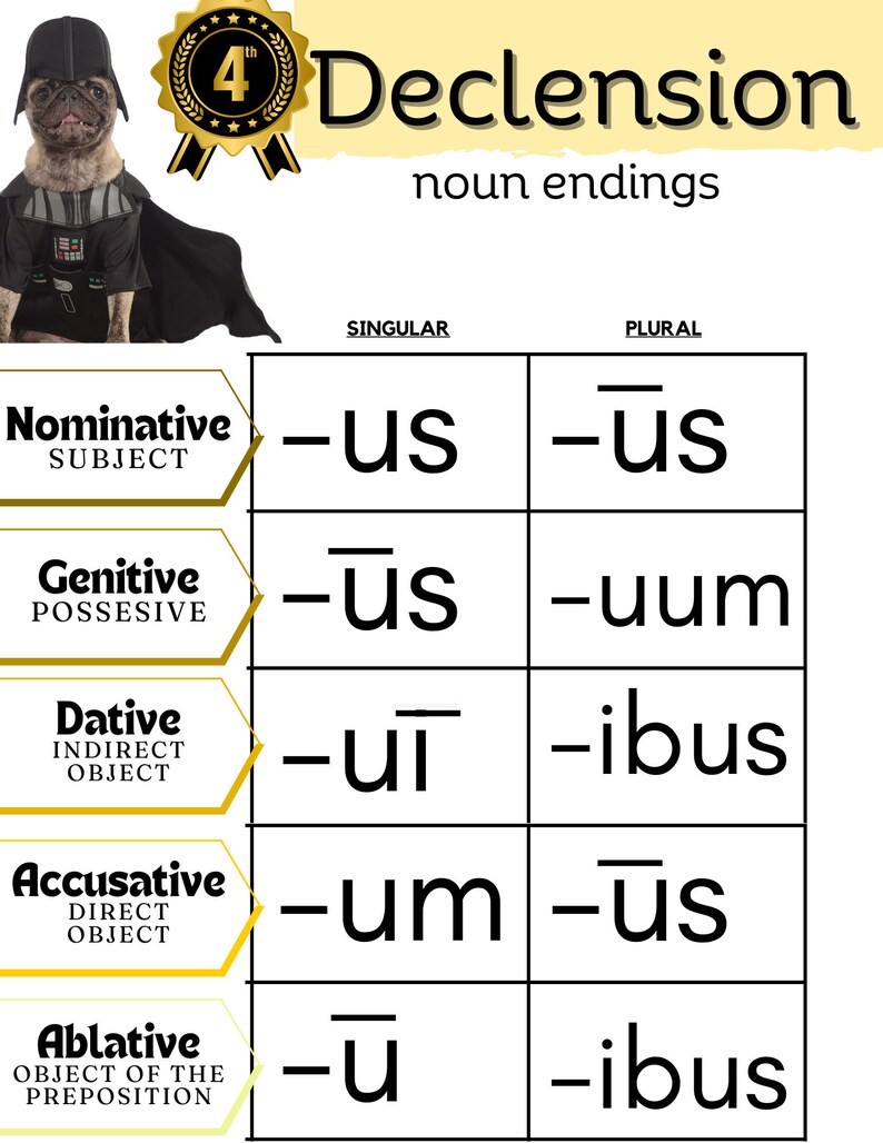 CC Cycle 1 5th Ed Latin Pug Latin 1-5 Declensions With Notes, Memory ...