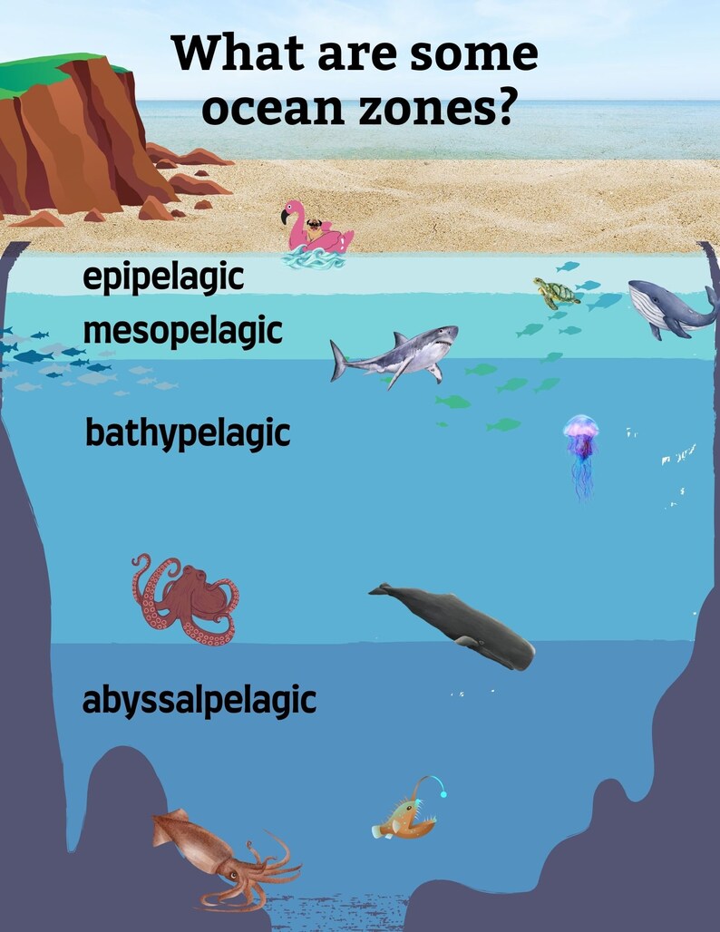 CC Cycle 1 Science Weeks 1-24 for Older Kids and Readers, Tutors (5th ...